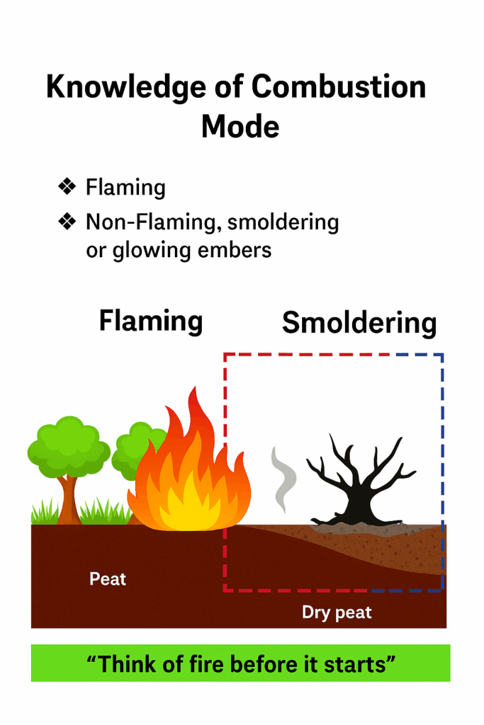 Understanding the Two Modes of Combustion: Flaming and Non-Flaming ...